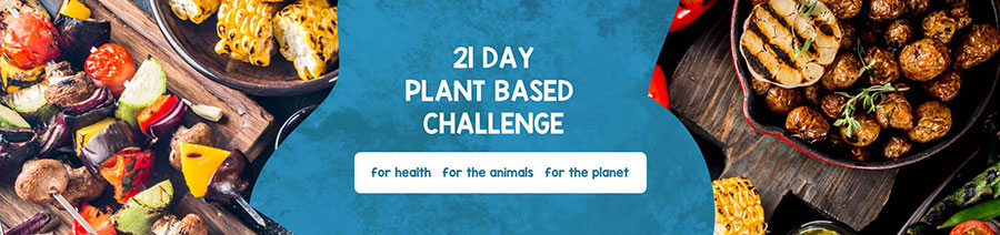 Take the 21 Day Plant Based Challenge! - The Vegan Society of Aotearoa ...
